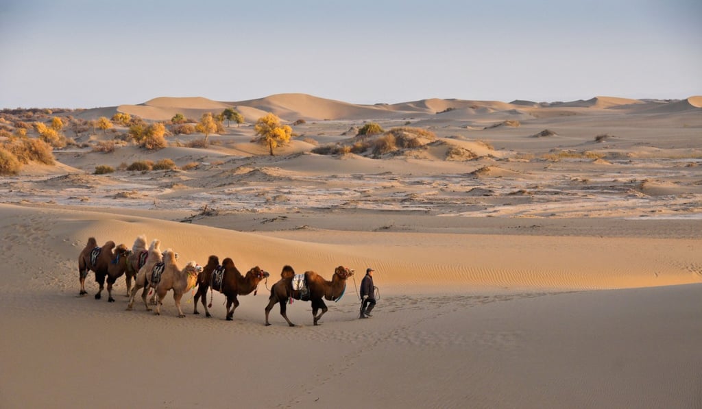 China opens world’s first space breeding centre in Shaanxi to grow ...