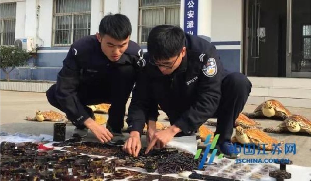 Chinese police seize turtle products, arrest 19 in black market ...