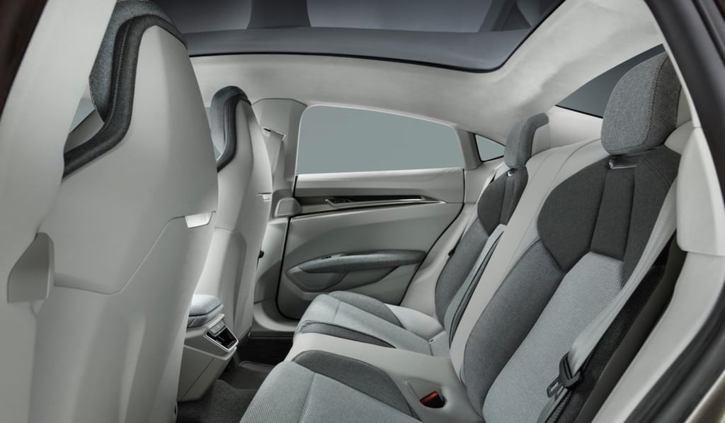 Audi e tron gt seats store
