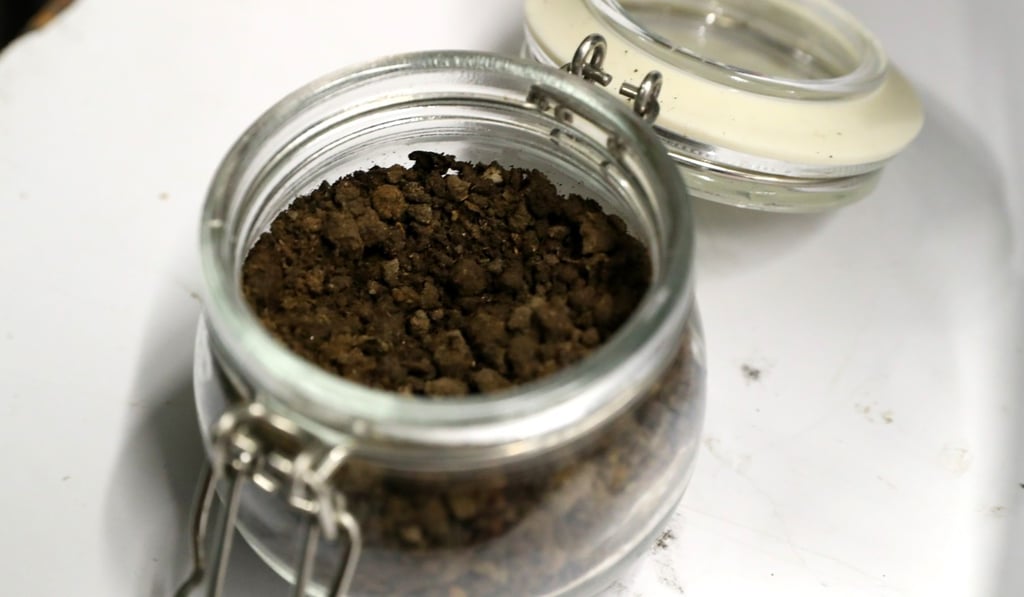 Hong Kong Community Composting helps to cut down on food waste | South ...