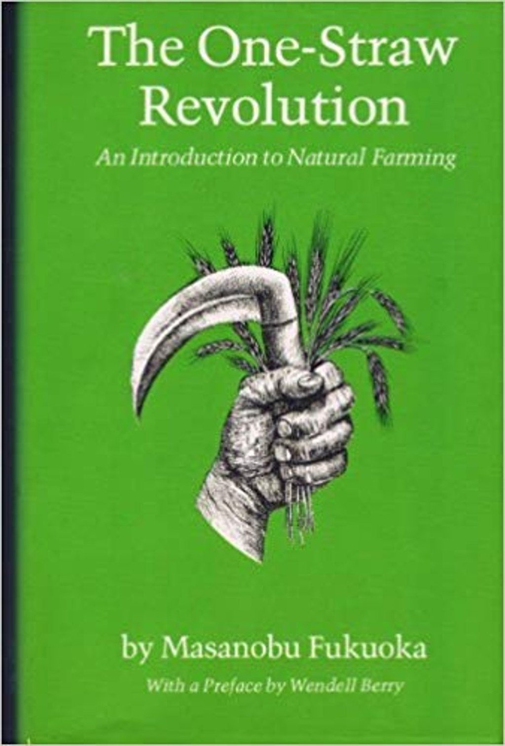 From Singaporean ‘city girl’ to urban famer: Michelle Hong of Rooftop ...