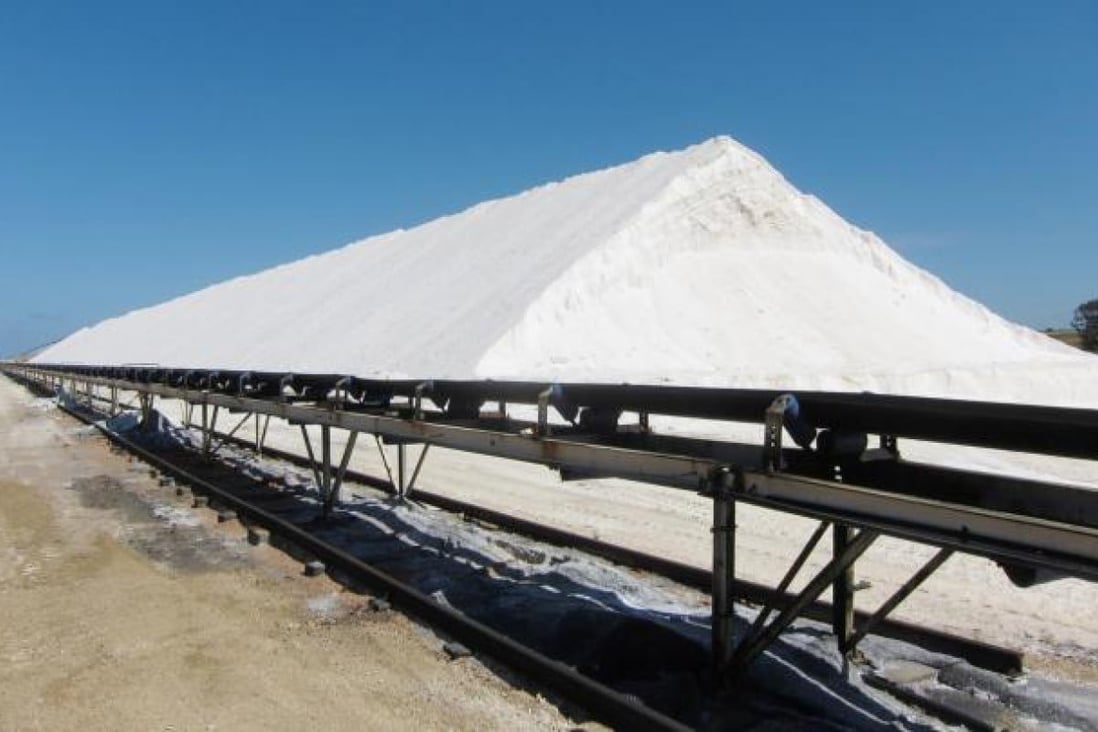 CK Life Sciences buys Australia's Cheetham Salt for A$150m | South ...