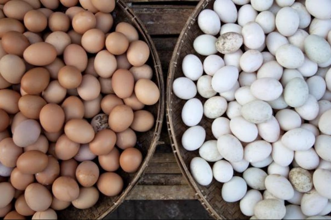 Why Not Put All Your Eggs In One Basket South China Morning Post Why Not Put All Your Eggs In One Basket South China Morning Post