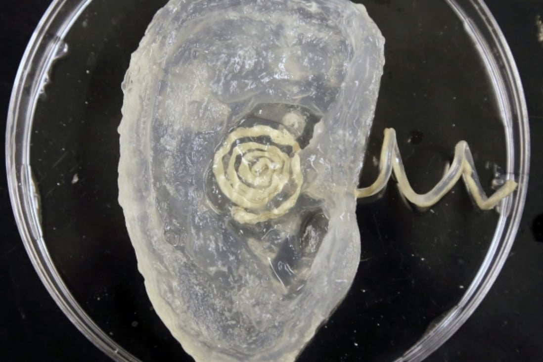 US researchers create 'bionic ear' | South China Morning Post