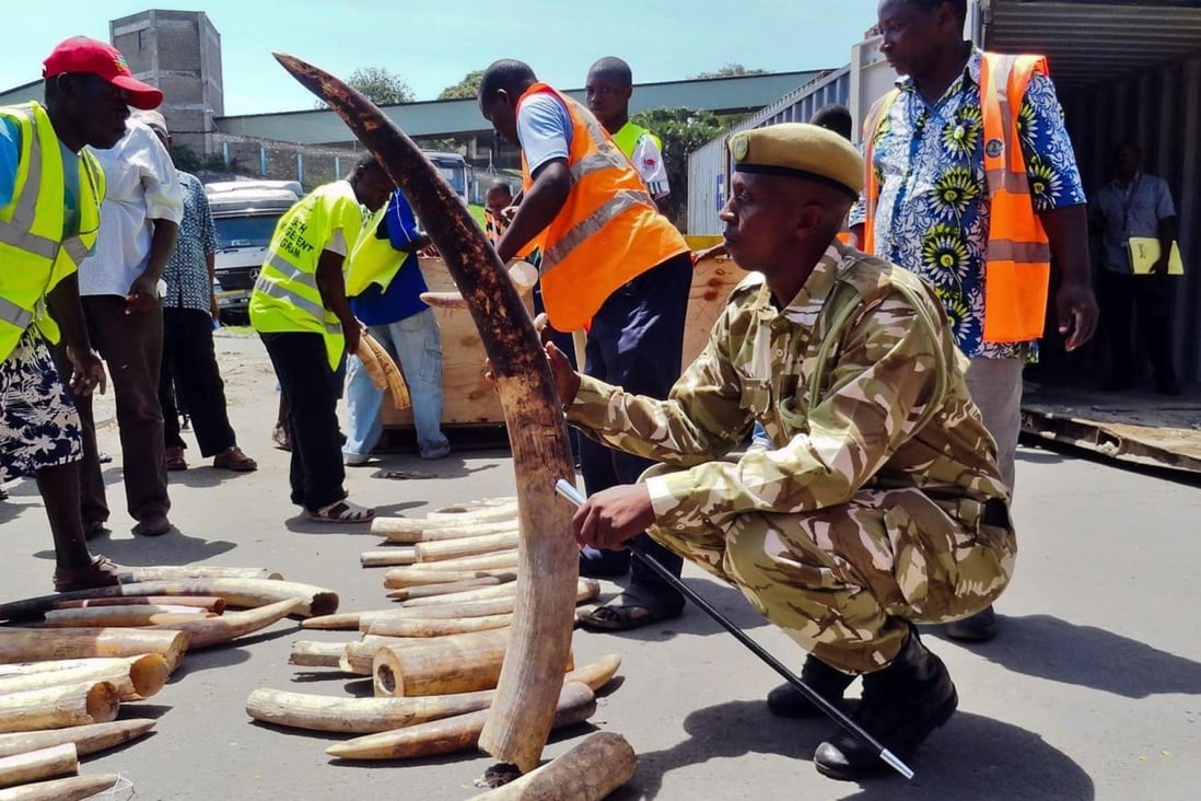 Kenya jails Chinese ivory smuggler in landmark ruling | South China ...