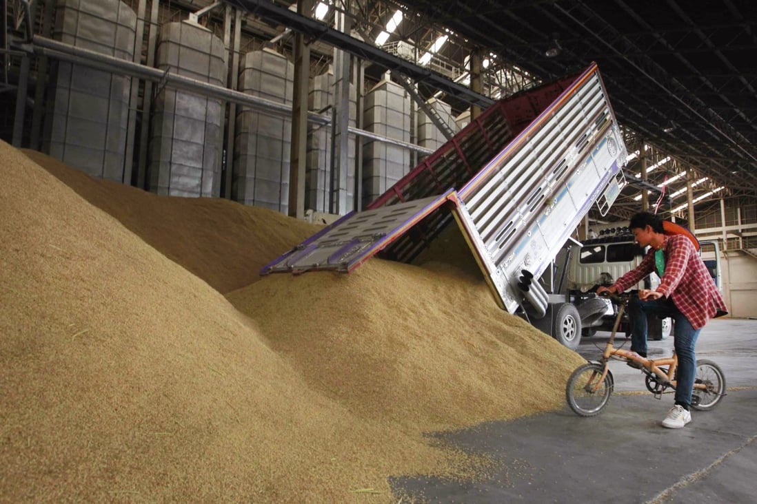 Memories of 2008 food crisis push Asian countries to hoard grain ...