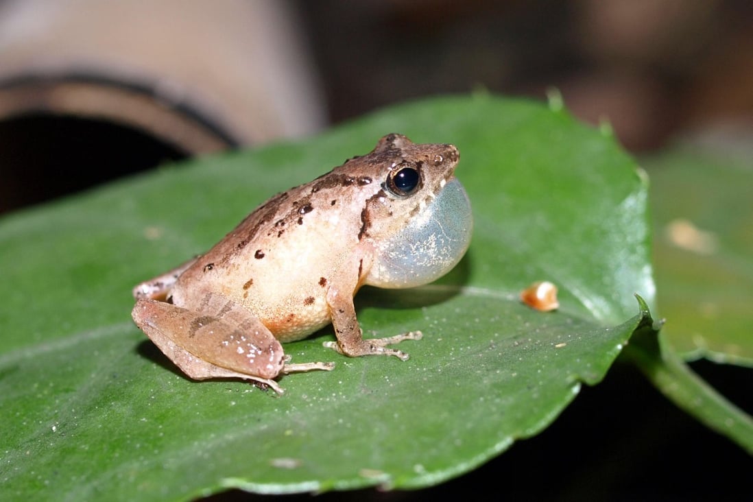 Government needs to consider public input in formulating biodiversity ...