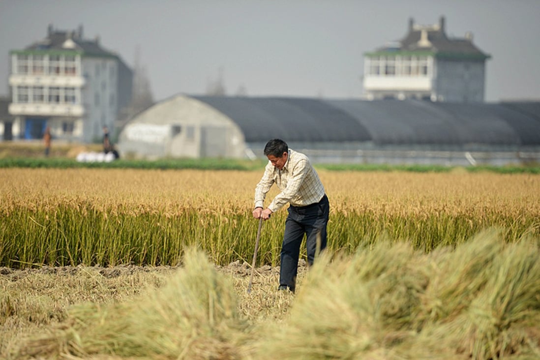 China’s farmers await revolution in land reform | South China Morning Post