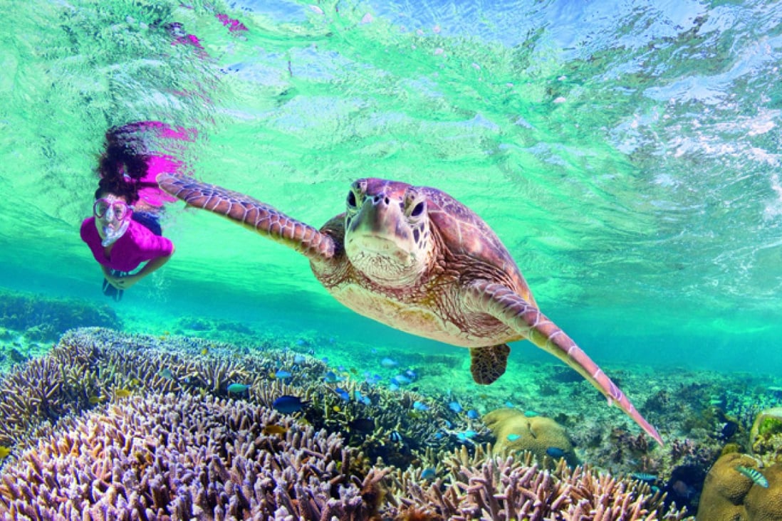 Great Barrier Reef's future in danger, scientists warn | South China ...