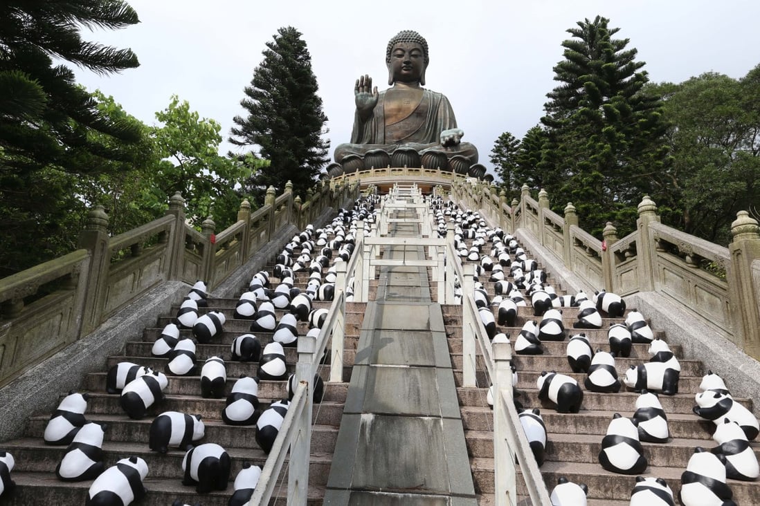 It's panda-monium! 1,600 bears win the hearts of Hongkongers at city's ...