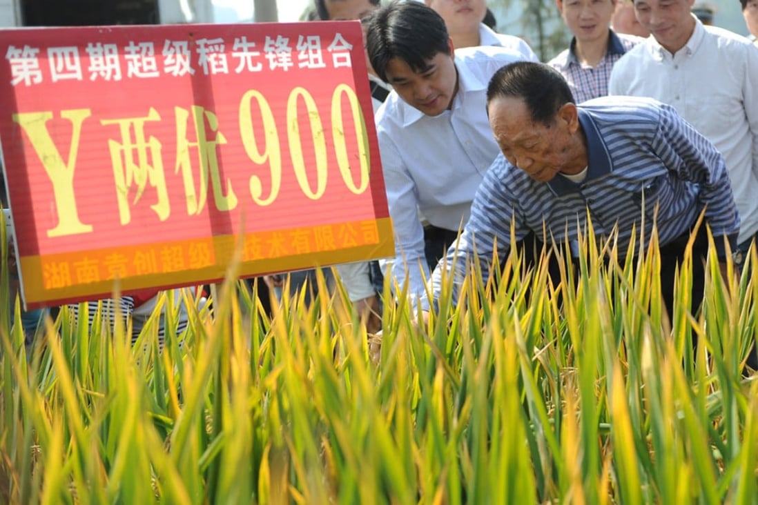 'Father of hybrid rice' develops new variety that beats his own world ...