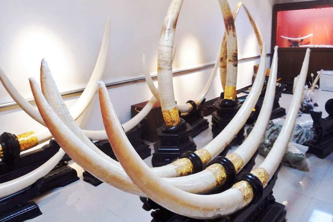 China's ivory import ban only the first step | South China Morning Post