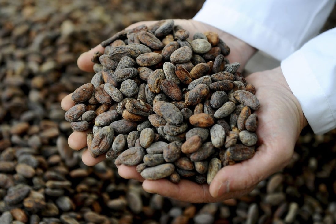 From bean to chocolate bar: a tour of Ecuadorean cocoa farms | South ...