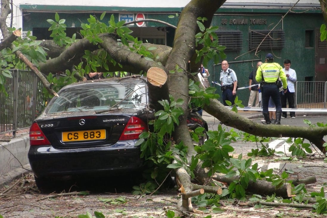 Lucky escape for Hong Kong driver and wife after falling tree crushes ...