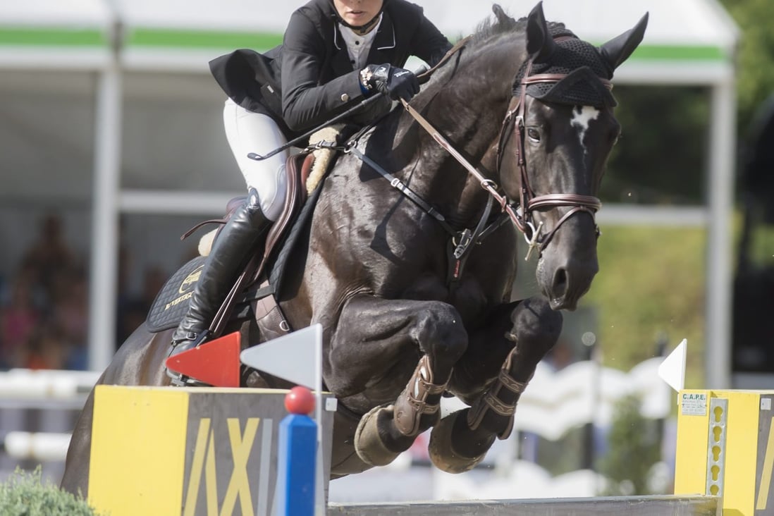 Outbreak of contagious horse disease glanders near Rio Olympic Games ...