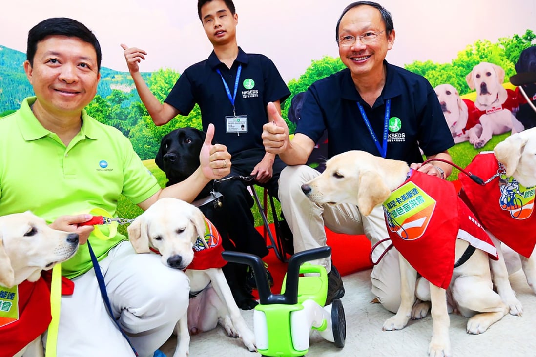 Puppy love: Second batch of Hong Kong-born guide dogs ‘could be here by ...