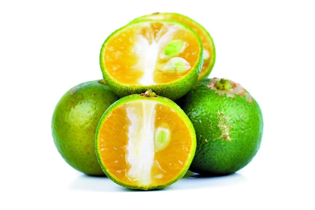 Calamansi packs a punch - in seafood, with meat or as a refreshing ...