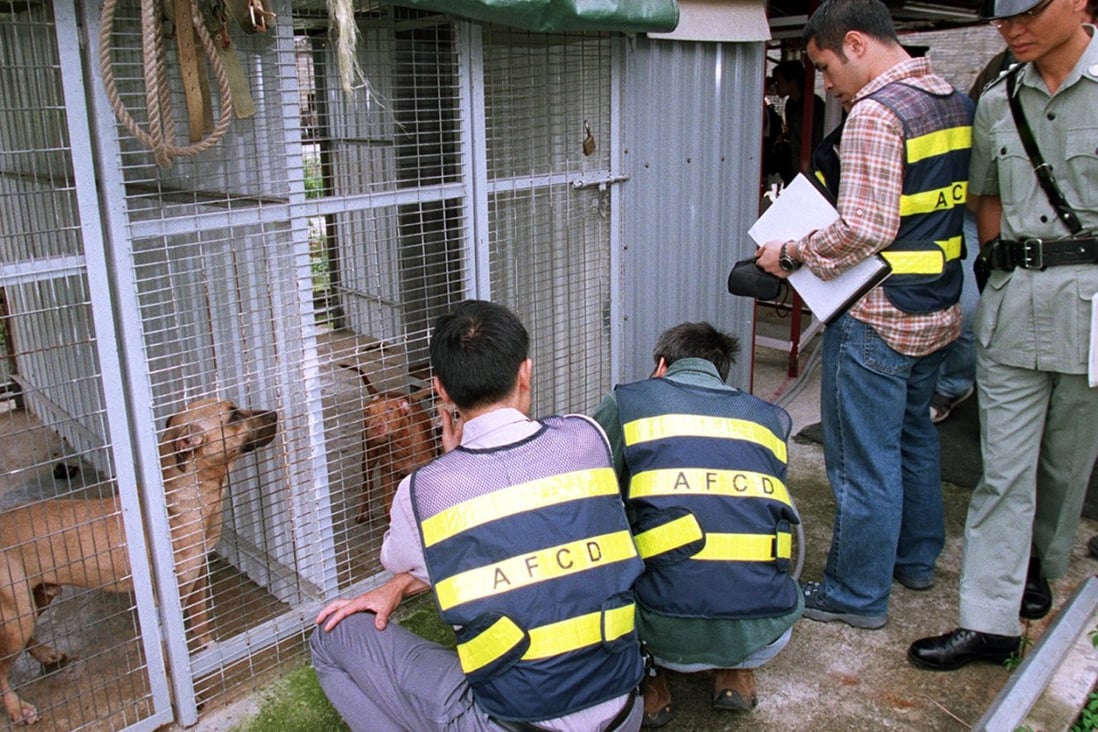 Pit bull terriers seized in Hong Kong dog-fight arena raid | South ...