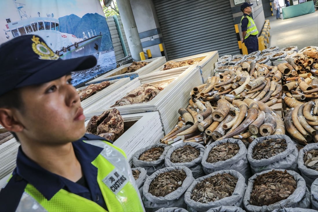 How can illegal wildlife trade be curbed if we don’t know which animals ...