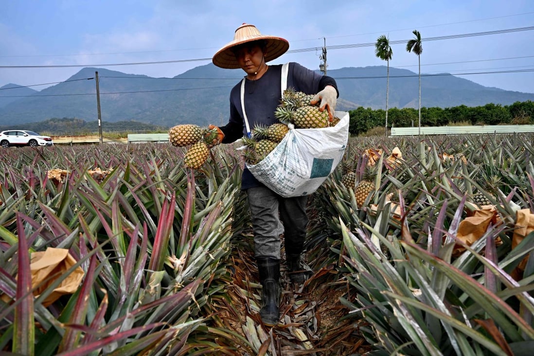 Who wins in Chinese ban on Taiwan pineapples | South China Morning Post