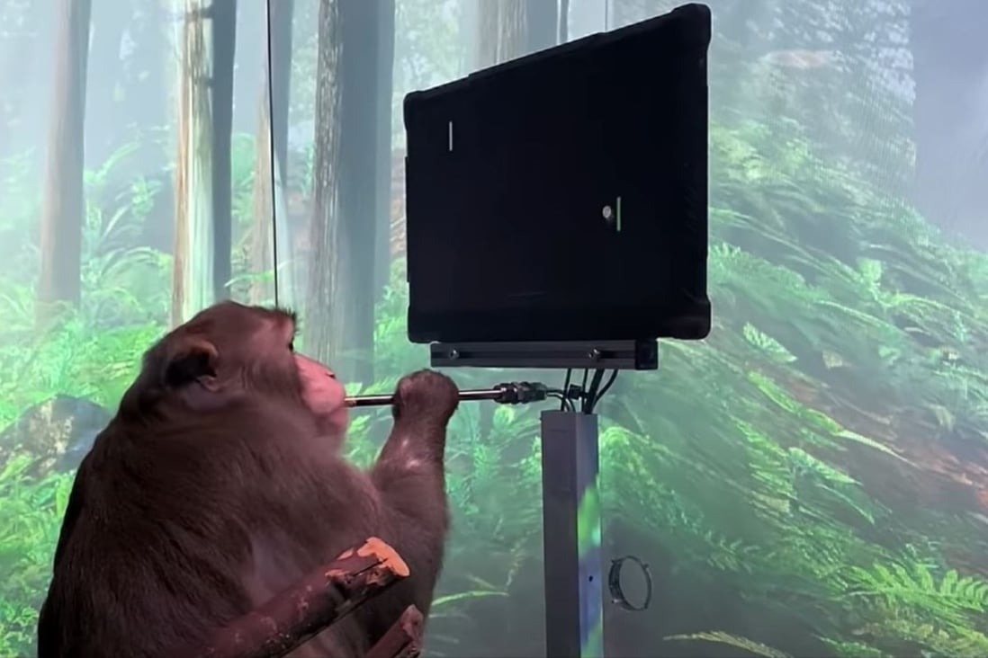 Monkey plays video game with its mind using Elon Musk’s Neuralink ...