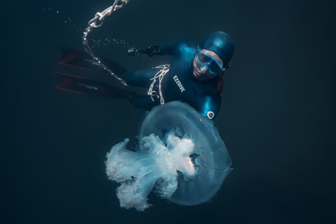 Why freediving is such a thrill – ‘You’re basically like a fish ...