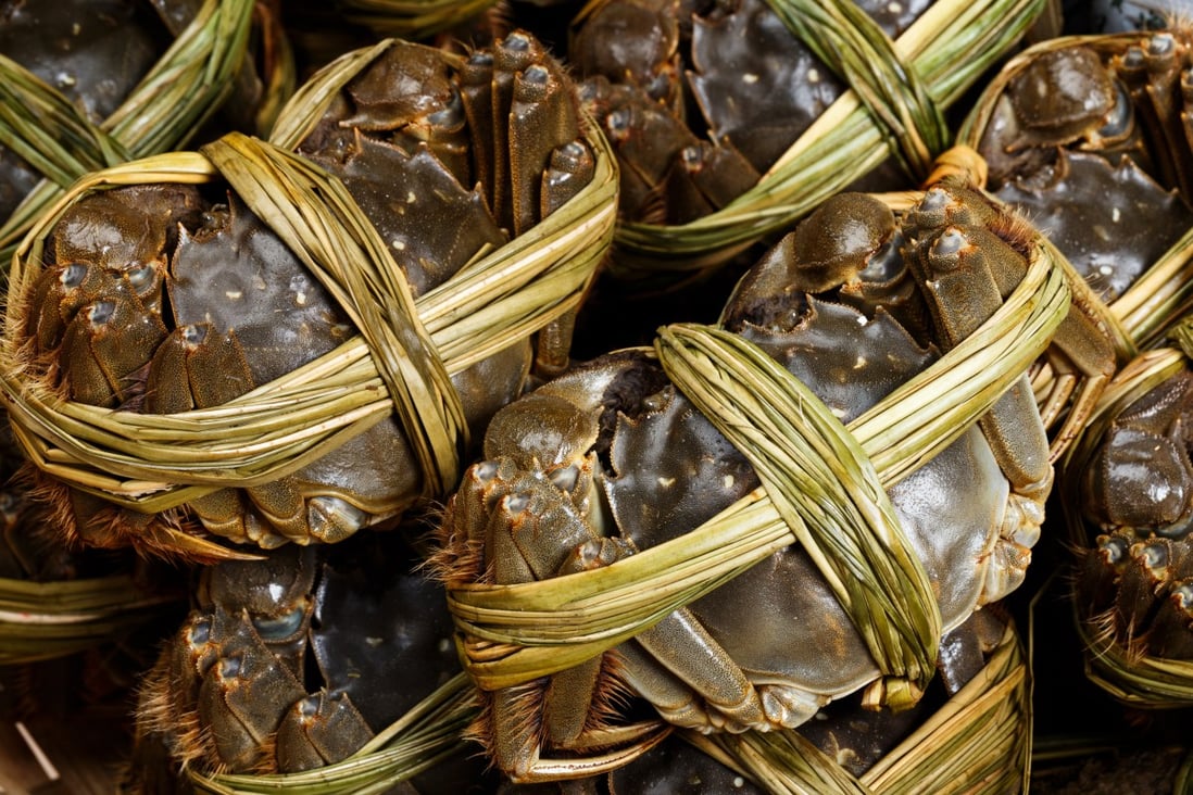 Treatment of hairy crabs surely flouts Hong Kong’s animal cruelty laws ...