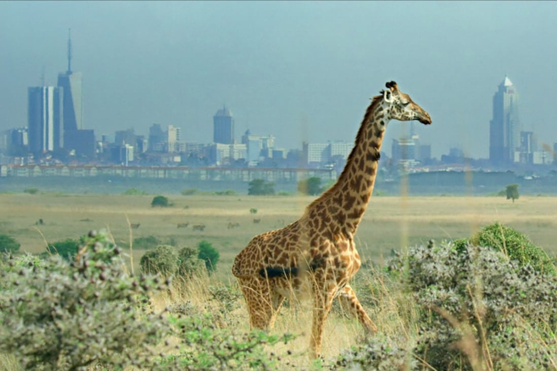 The best Netflix documentaries to watch on climate change, from ...