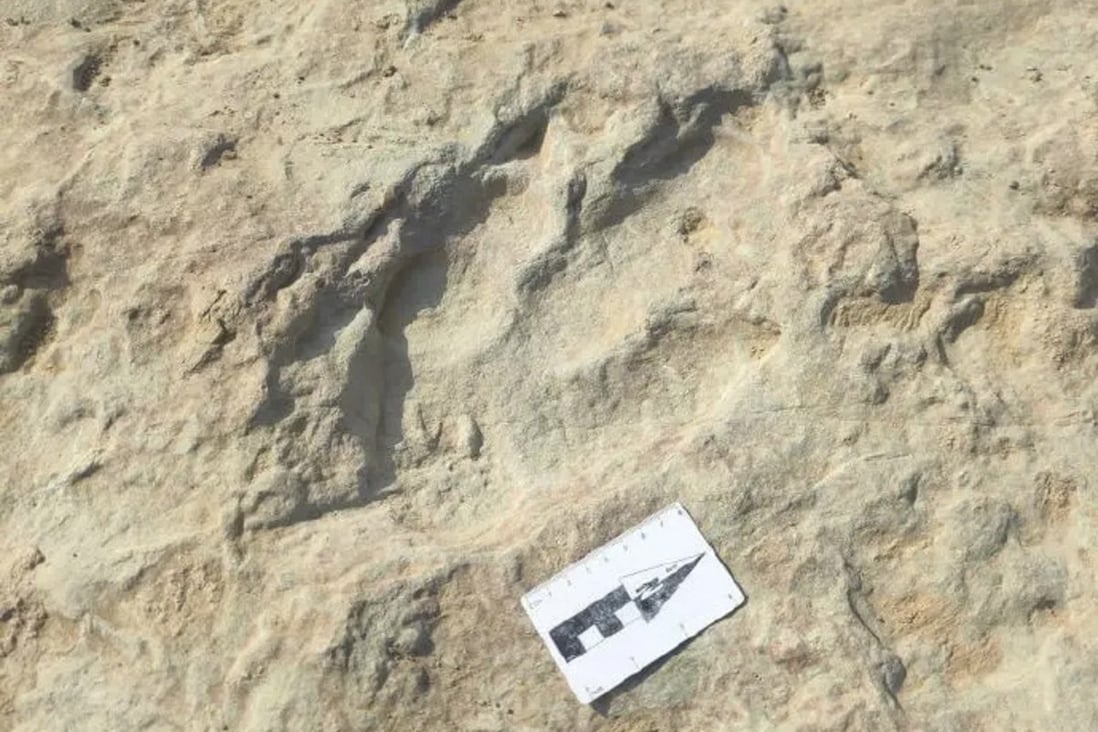 Scientists in China discover over 4,300 dinosaur footprints in what ...