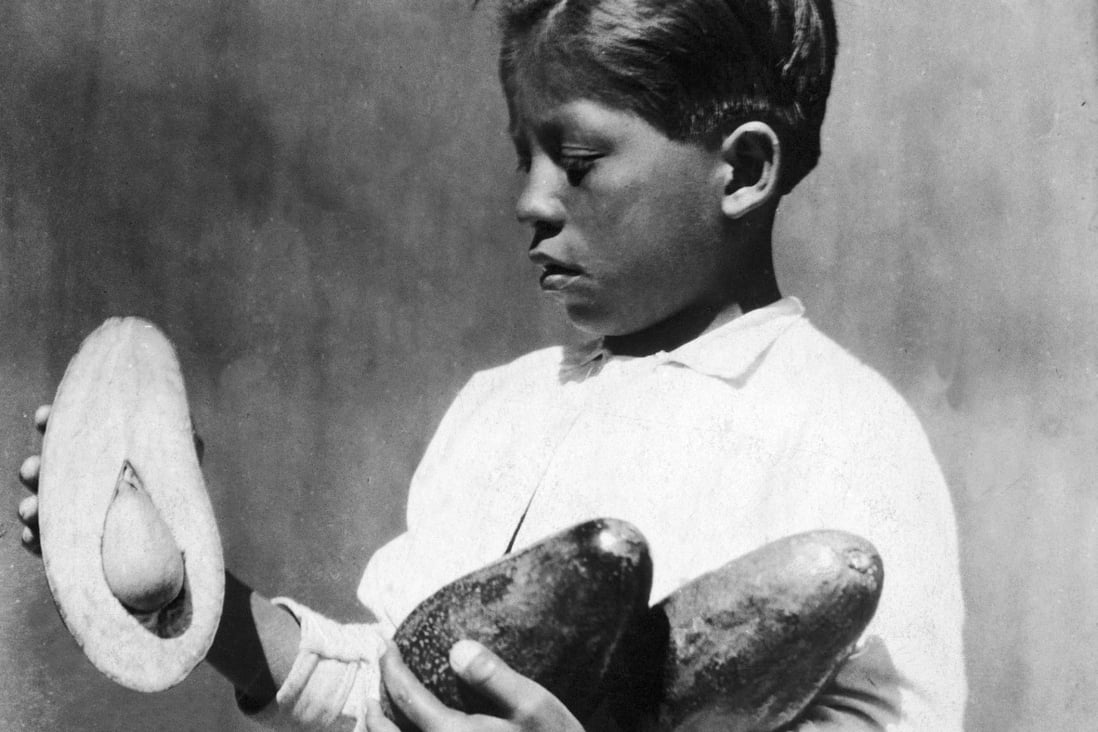 From the Aztecs to avo, the scoop on ‘avocado’ and ‘guacamole’ – its ...