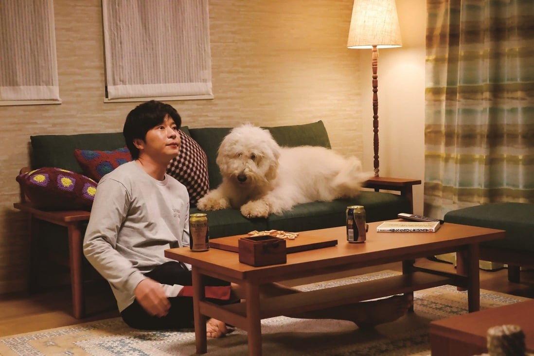Haw movie review: a missing dog comforts new human friends in ...