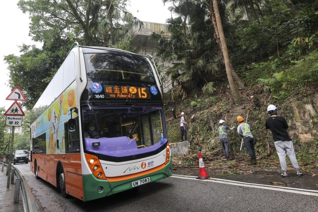 Hong Kong can prevent deaths from falling trees with better government ...