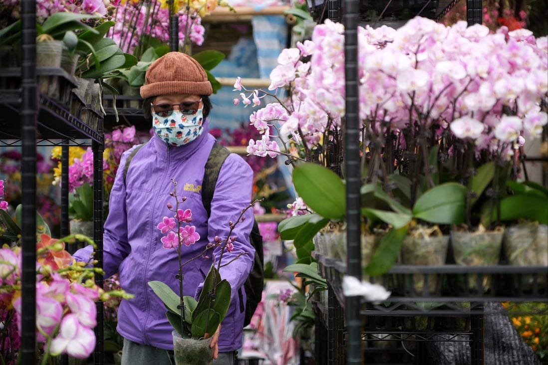 Shoppers turn out for Hong Kong’s first Lunar New Year flower market ...