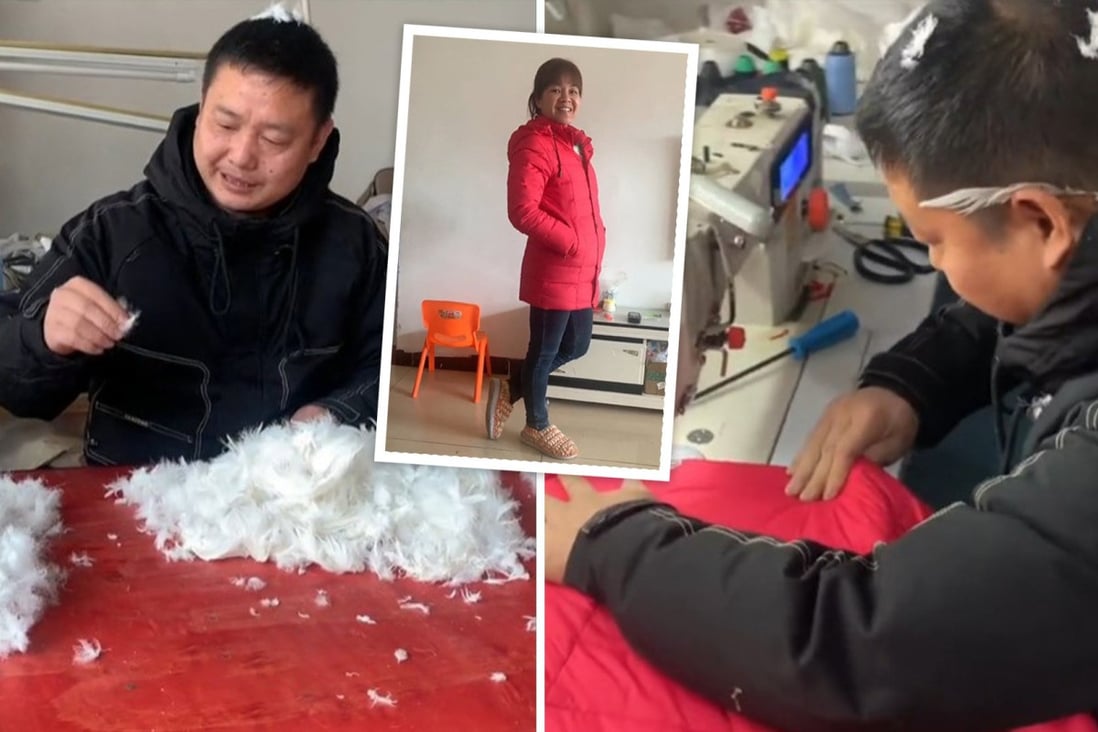Labour of love: romantic Chinese man raises mini-flock of geese to ...