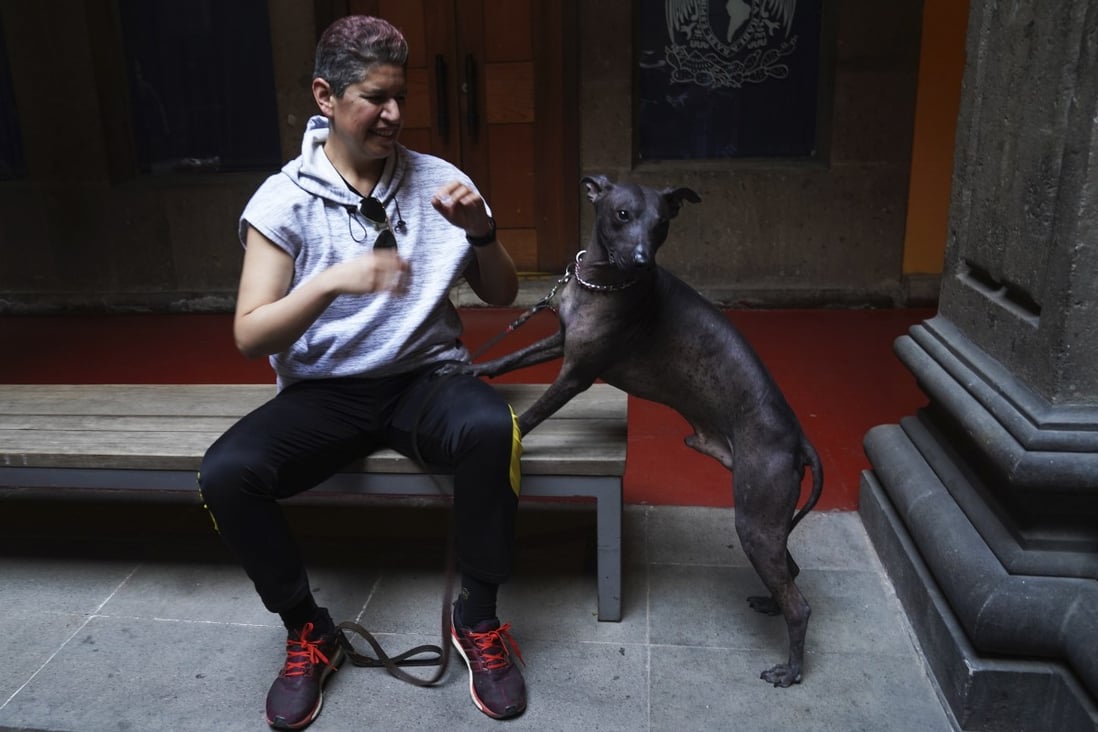 This dog breed’s name means ‘monster’ and it was thought to represent ...