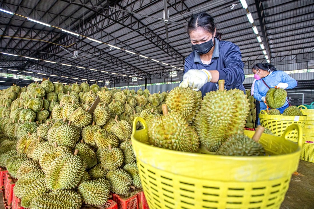 Thailand police launch overnight patrols of durian farms to thwart ...