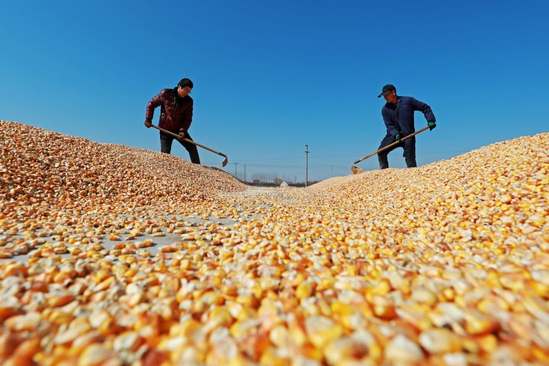 China gets first corn shipment from South Africa, bolstering push to ...