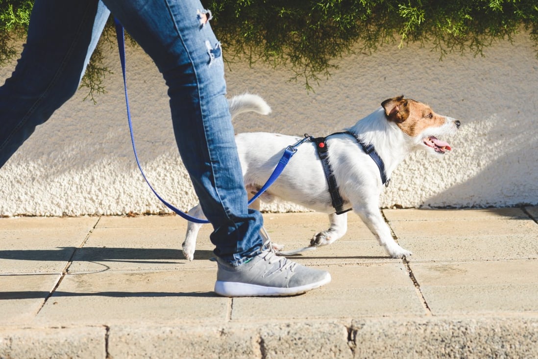 Singapore jails Malaysian man who exposed his genitals to woman he ...