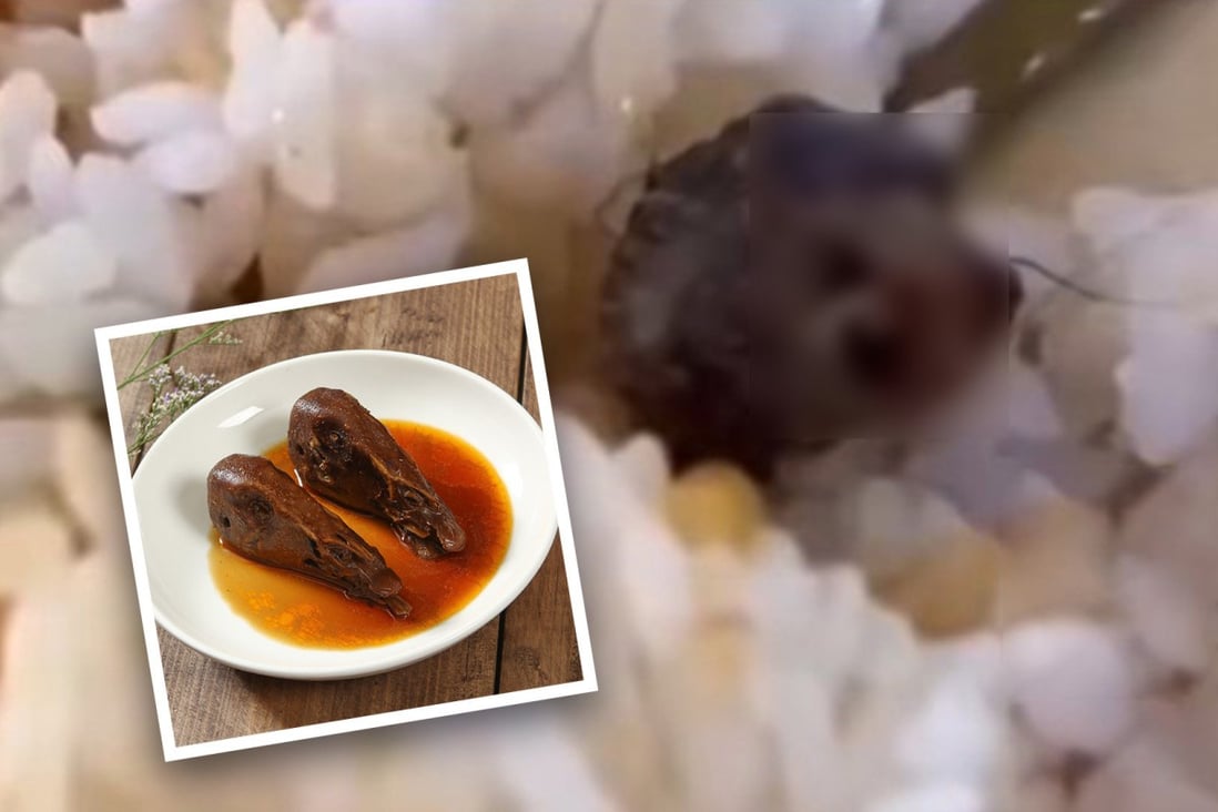 ‘Not a mouse head’: college in China claims ‘foreign object’ with ...