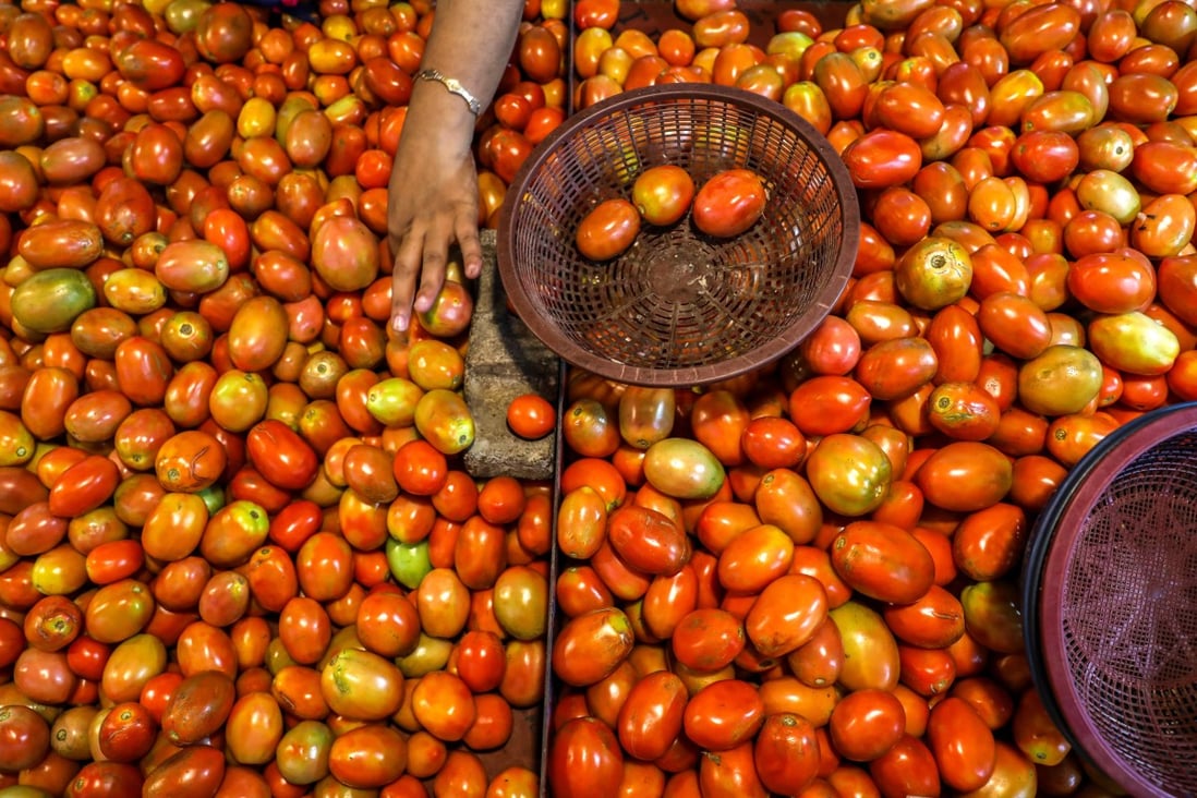 India’s tomato farmers cash in as prices skyrocket 700 per cent: ‘supply is thin, while demand ...