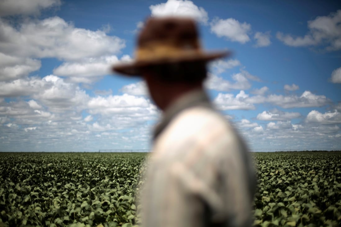 US-China trade war ‘imperils’ Amazon forest, experts warn | South China ...