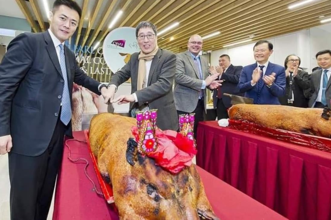 Roast pig-cutting ceremony at Hong Kong City University’s new vet ...