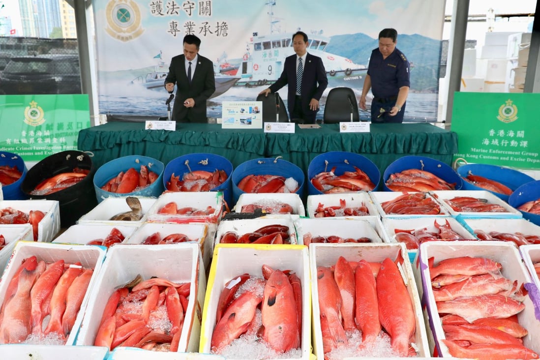 A tax-dodging gang was using speedboats to smuggle tonnes of fish into ...