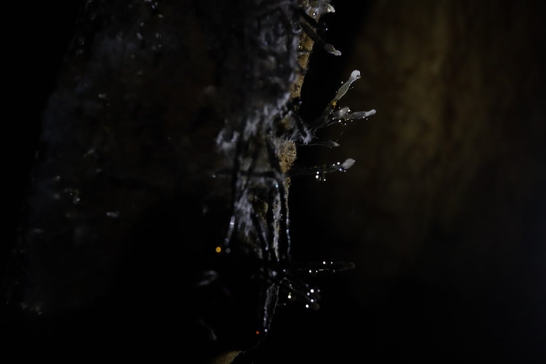 Inside the vast Chinese caves where SARS may have originated and a new ...