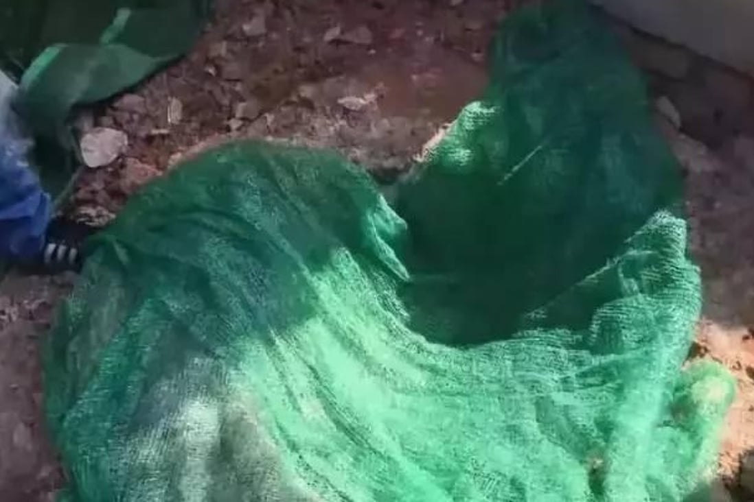 Chinese boy, 9, dies after falling down manhole covered only by a net ...