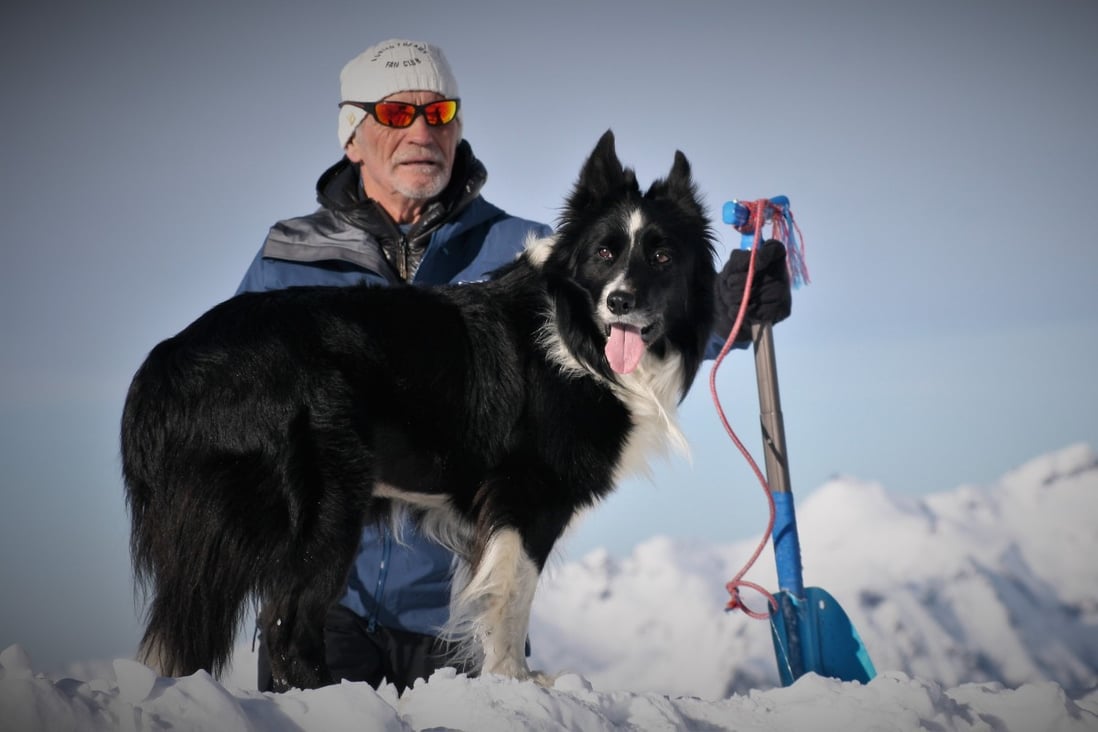 Avalanche dogs: up close with the canine lifesavers as they train with ...