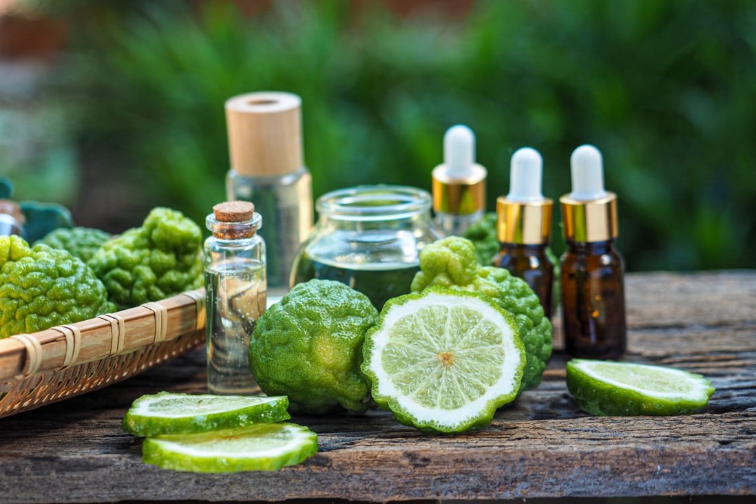 Bergamot: from perfume, oil and tea to food and juices, how the fruit’s ...