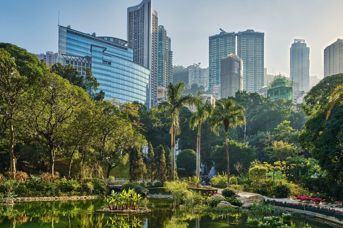 Why Hong Kong needs more trees and what’s preventing it | South China ...
