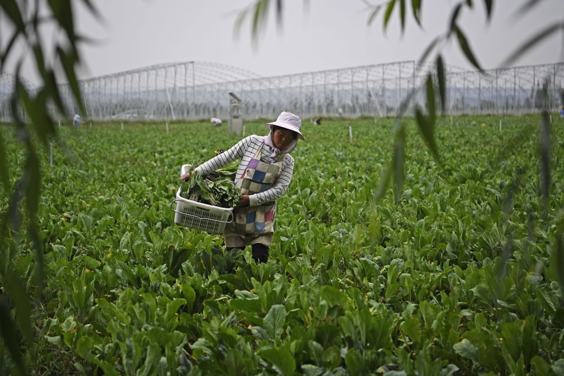 China’s Xi urges revival of old rural distribution system to boost ...
