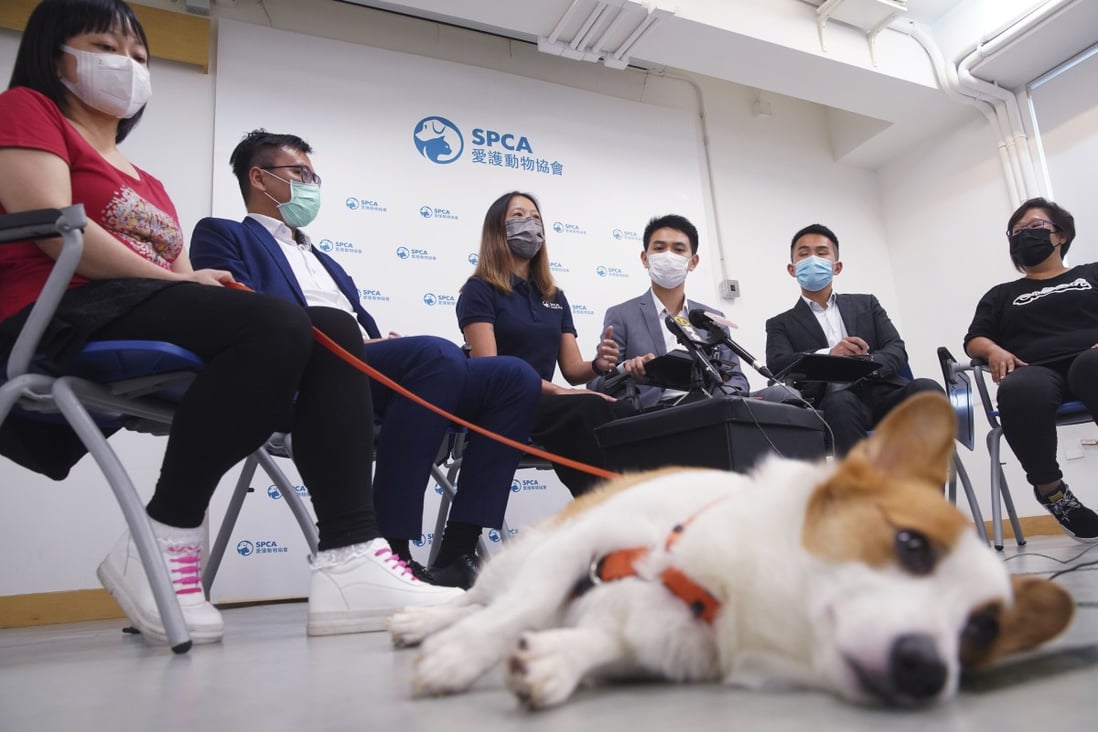 Pet smugglers are motivated by greed | South China Morning Post